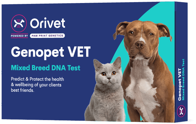 Dog & Cat DNA Tests for Breeders | Orivet Genetic Pet Care